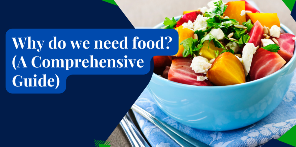 Why do we need food? (A comprehensive Guide)